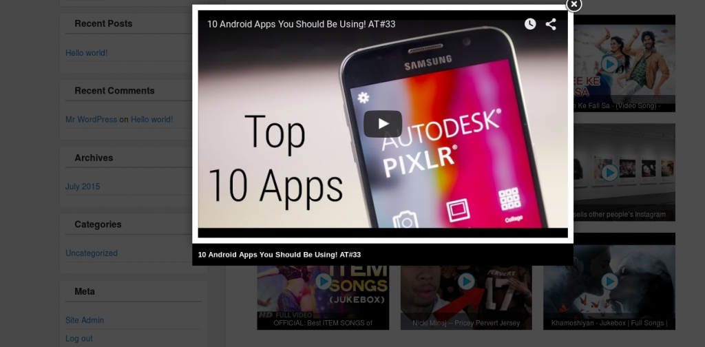 WordPress Responsive Video Grid Pro - I13 Web Solution